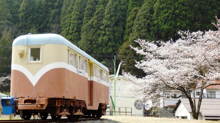 Official Yabu Travel Guide - Best Nature Town in Japan