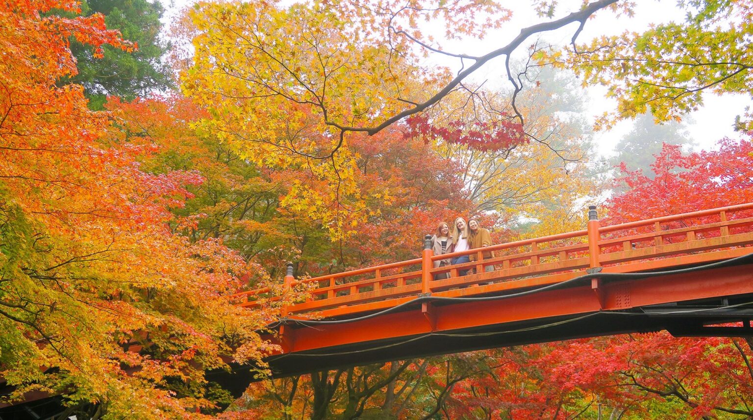 Official Yabu Travel Guide - Best Nature Town in Japan