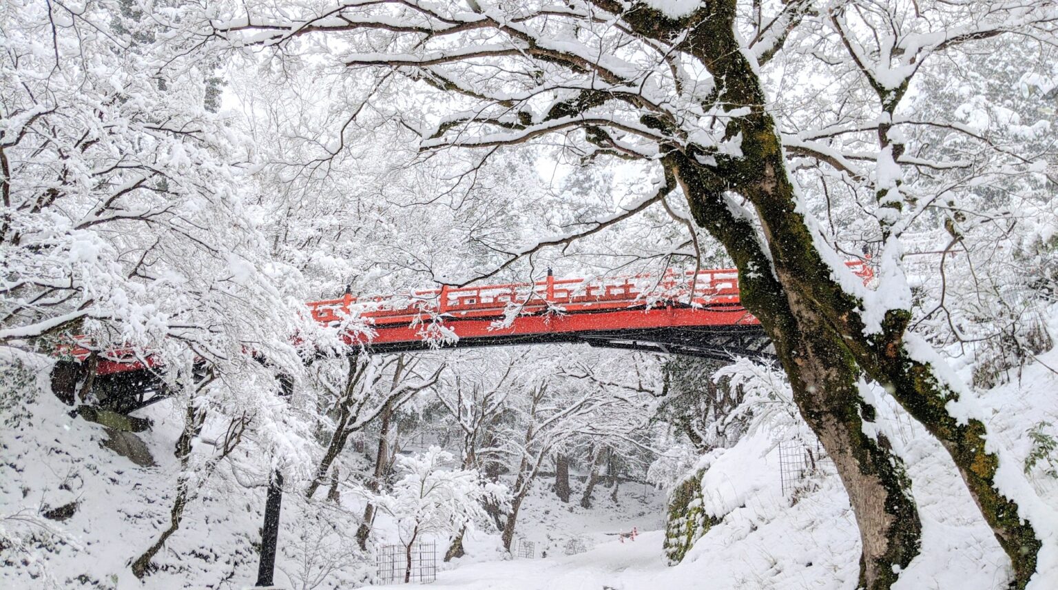 Official Yabu Travel Guide - Best Nature Town in Japan