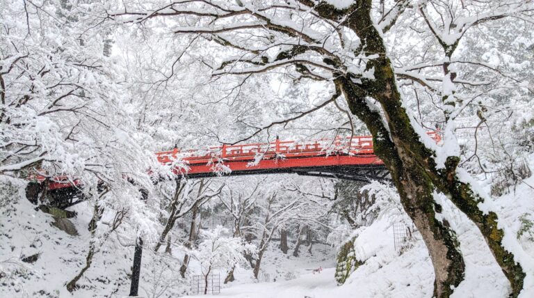 Official Yabu Travel Guide - Best Nature Town in Japan