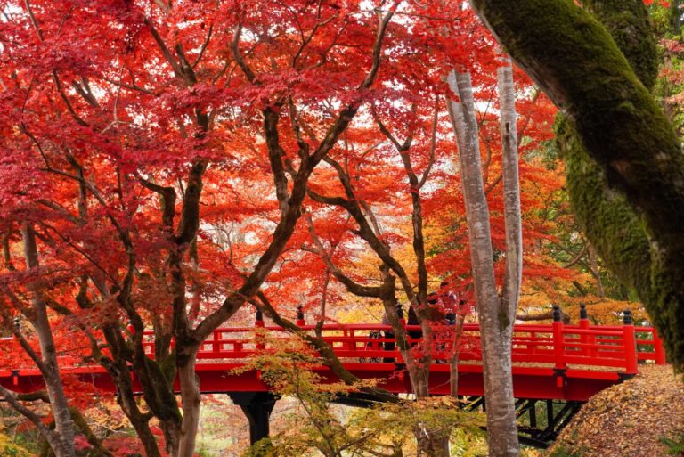 Official Yabu Travel Guide - Best Nature Town in Japan