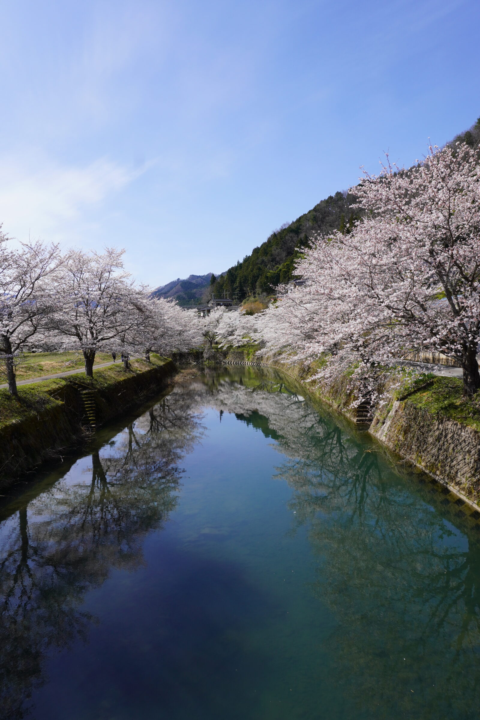 Official Yabu Travel Guide - Best Nature Town in Japan